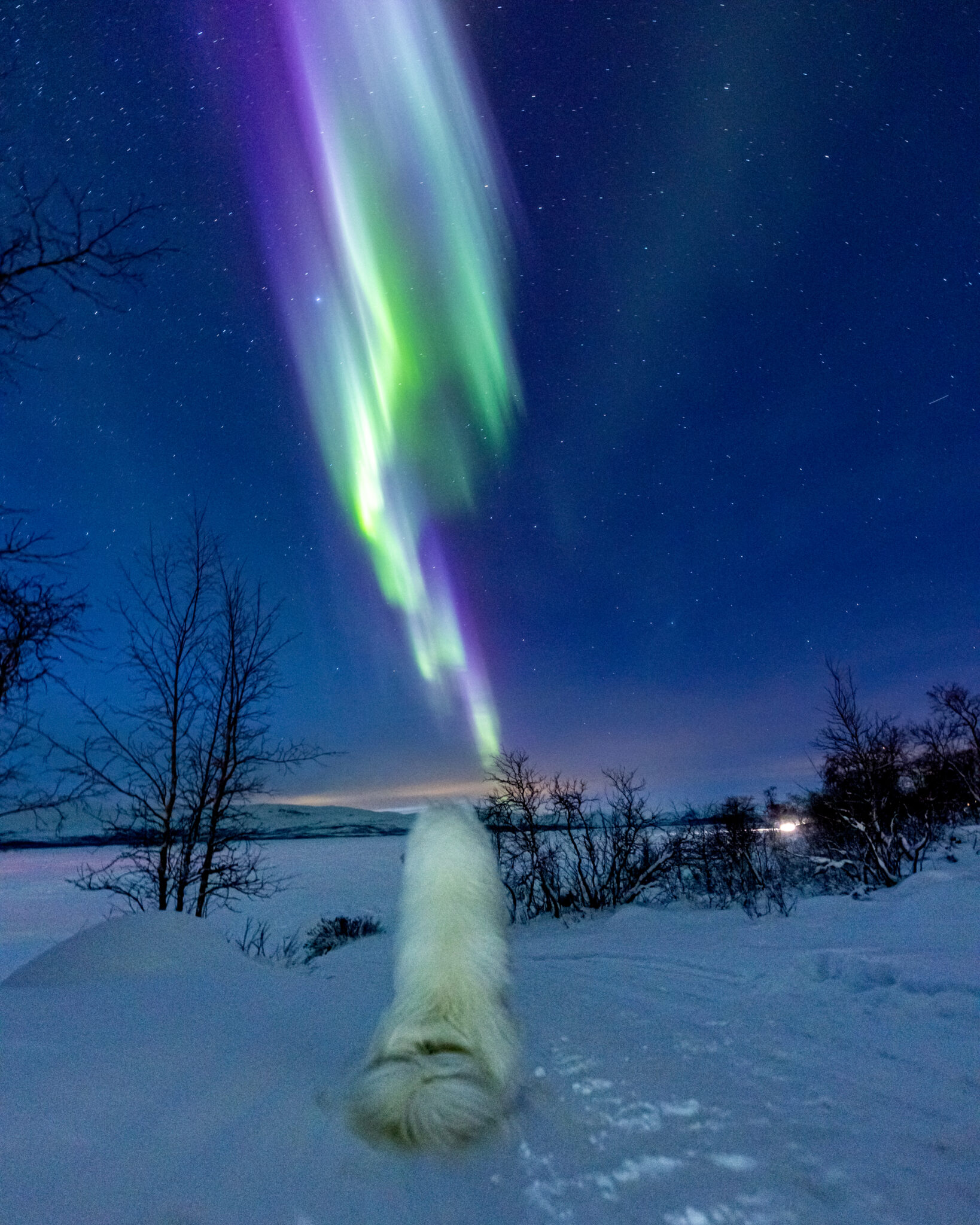 Chasing the Northern Lights - Kilpissafarit